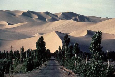 El Desierto de Gobi – Zoomdestinos